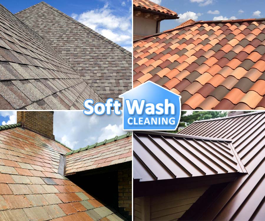 Soft Washing vs Pressure (Power) Washing: Benefits & More