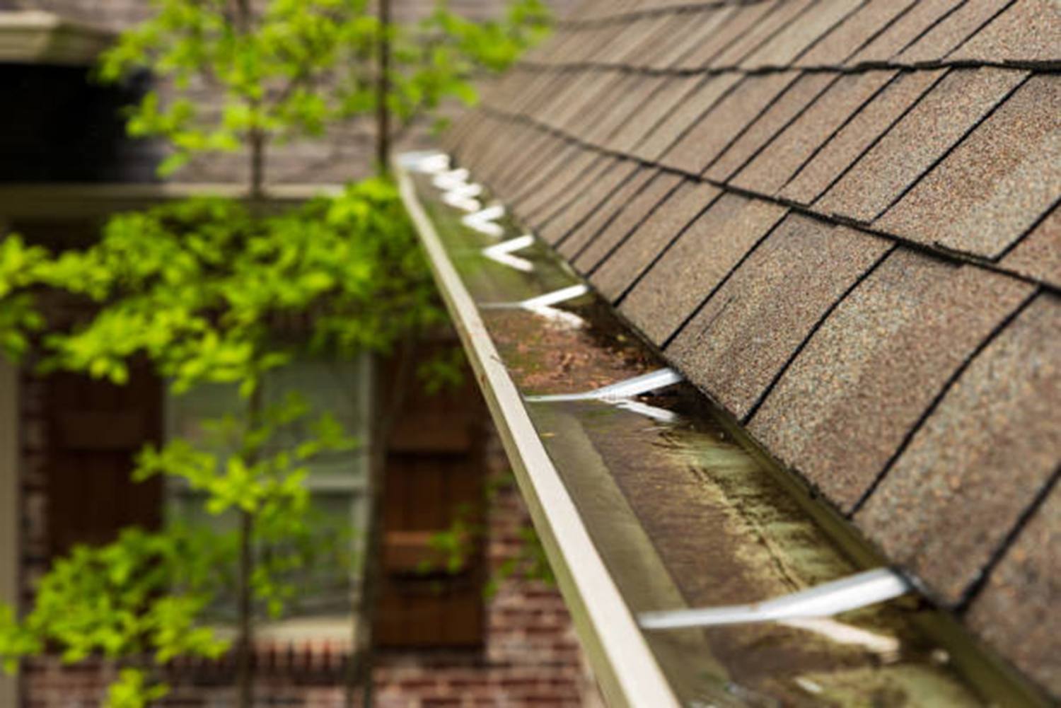 The Importance of Proper Gutter Drainage: Preventing Water Damage to ...